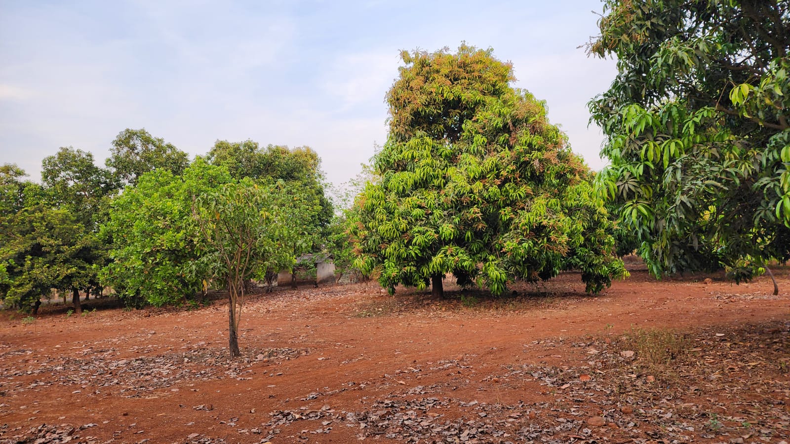 Farmhouse Plotting Project Raigad Premium 9 Acre Lake Touch Farmhouse ...