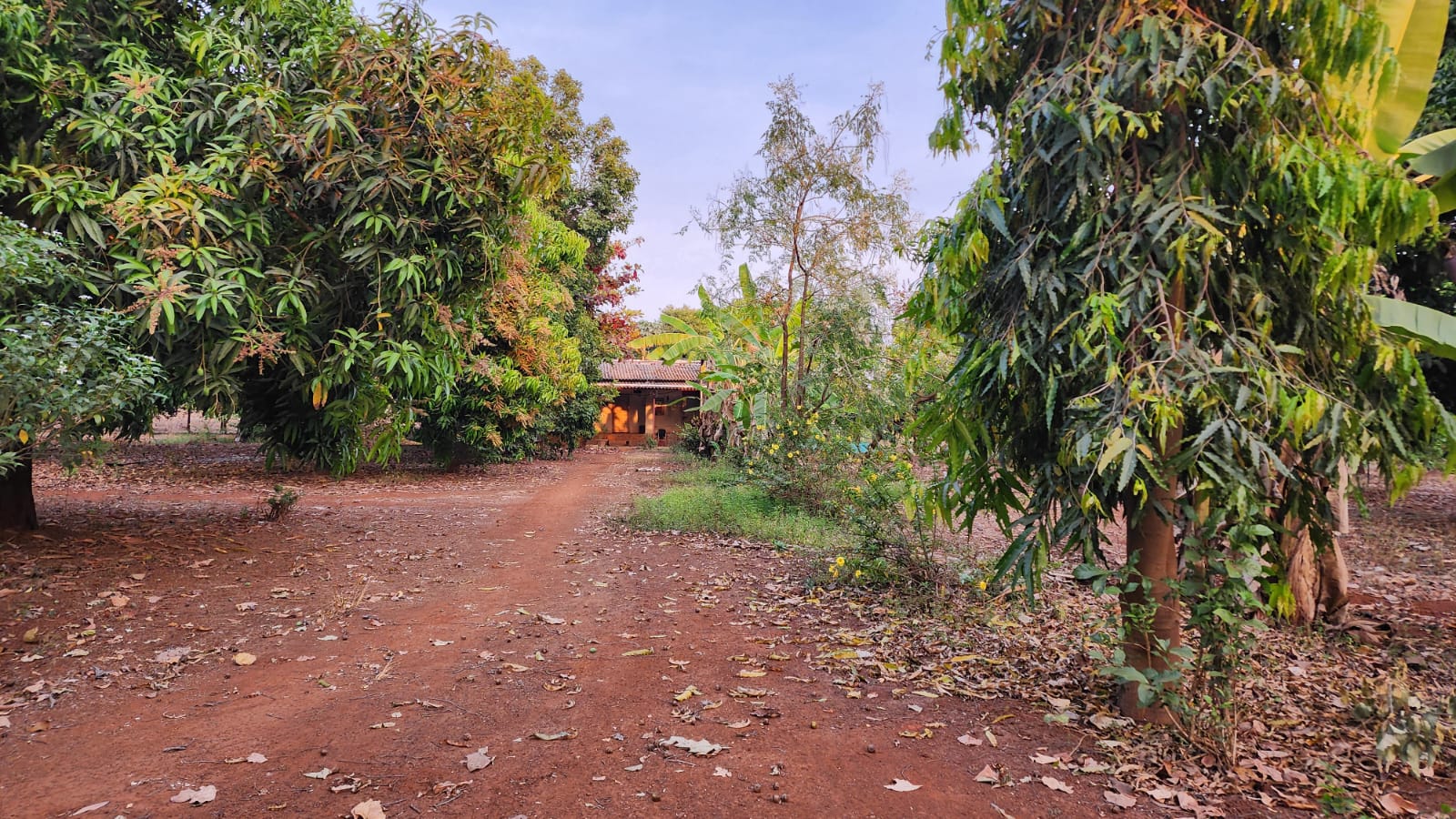 Farmhouse Plotting Project Raigad Premium 9 Acre Lake Touch Farmhouse ...
