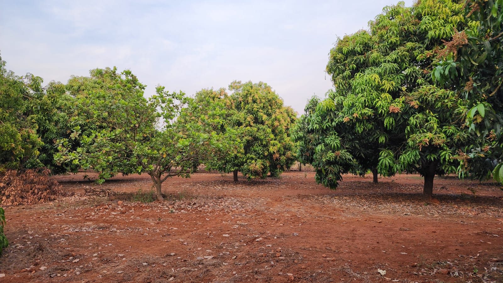 Farmhouse Plotting Project Raigad Premium 9 Acre Lake Touch Farmhouse ...