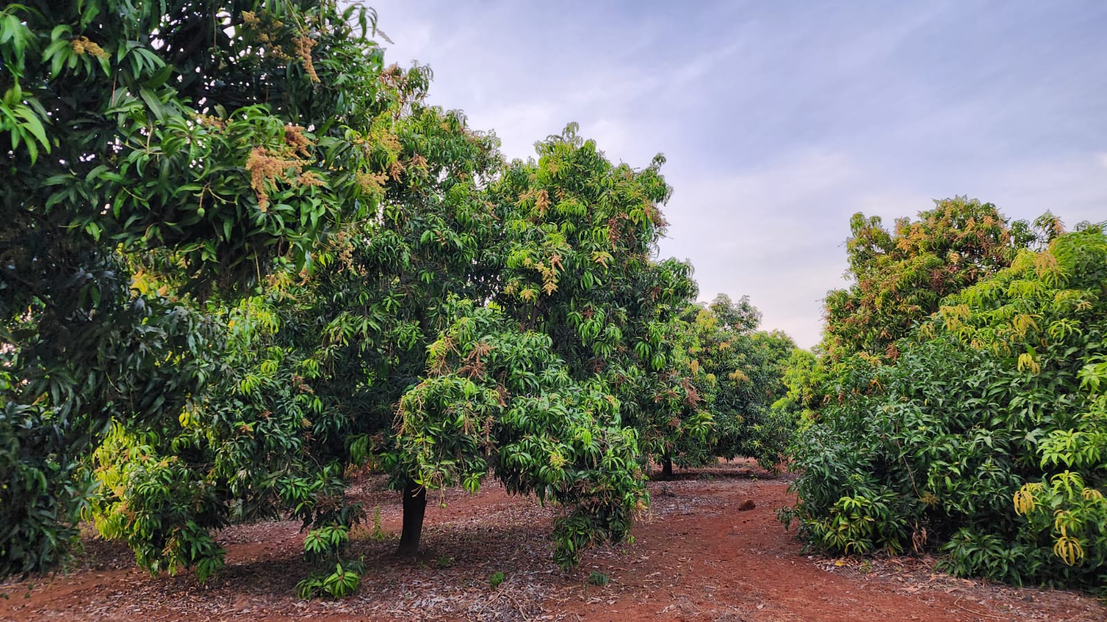 Farmhouse Plotting Project Raigad Premium 9 Acre Lake Touch Farmhouse ...