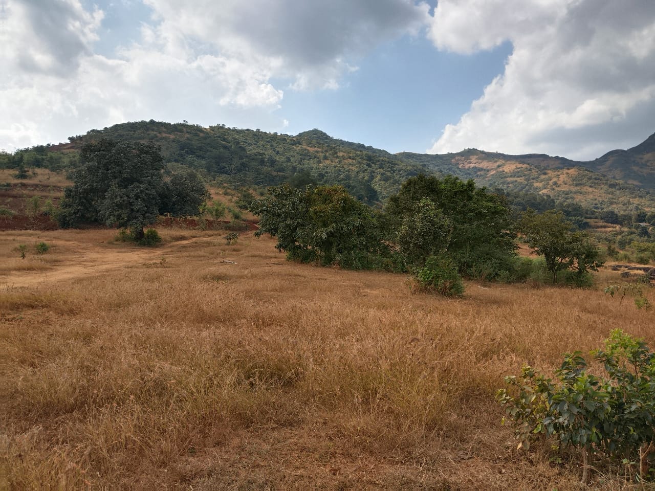 Farmhouse Plotting Project Bhor The Emerald Nest at Rajgad