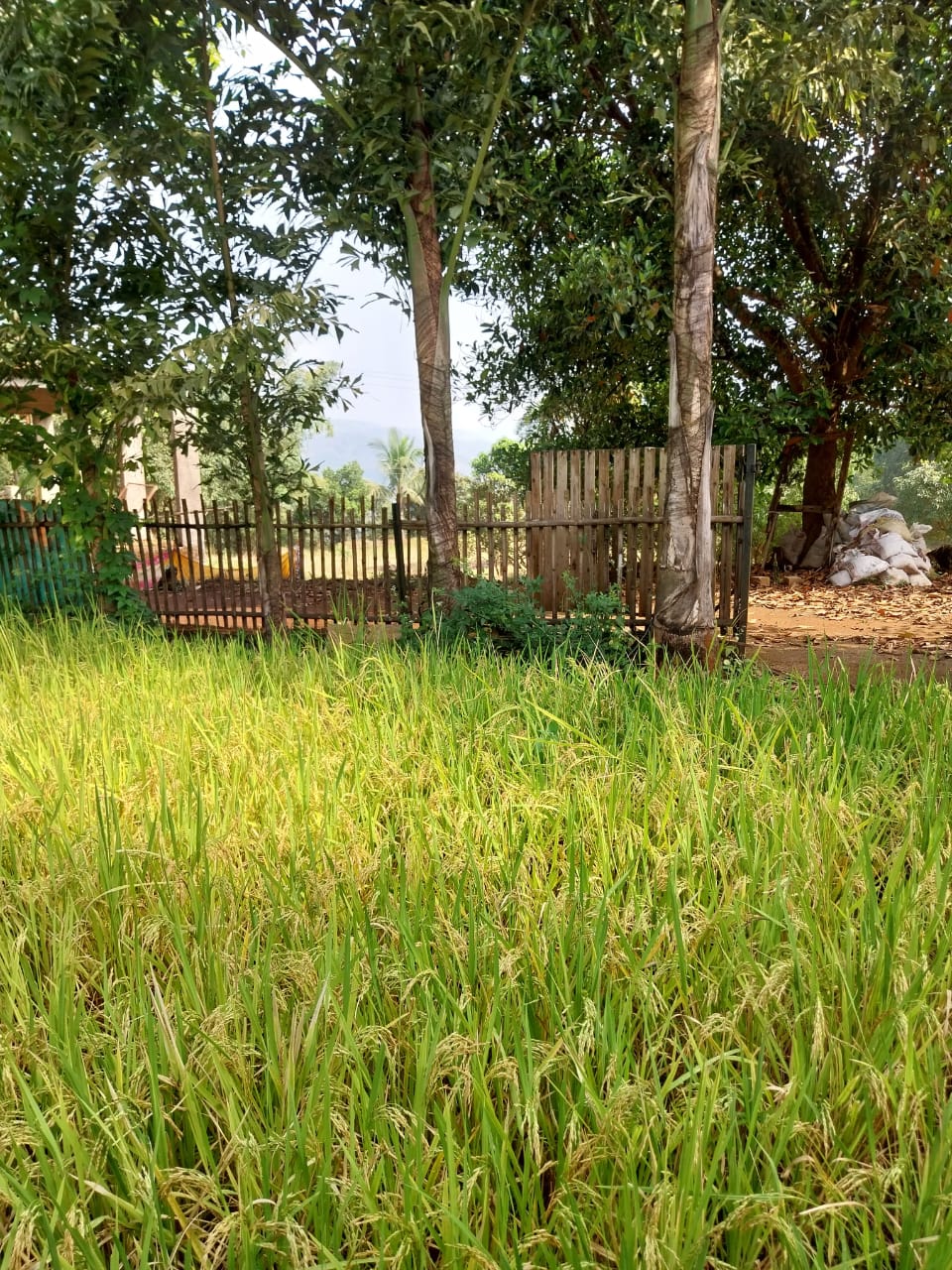 Farmhouse Plotting Project Bhor WaterScape