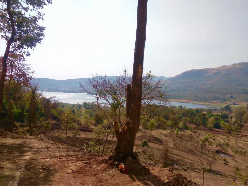 Farmhouse Plotting Project Kamshet Ambar Valley